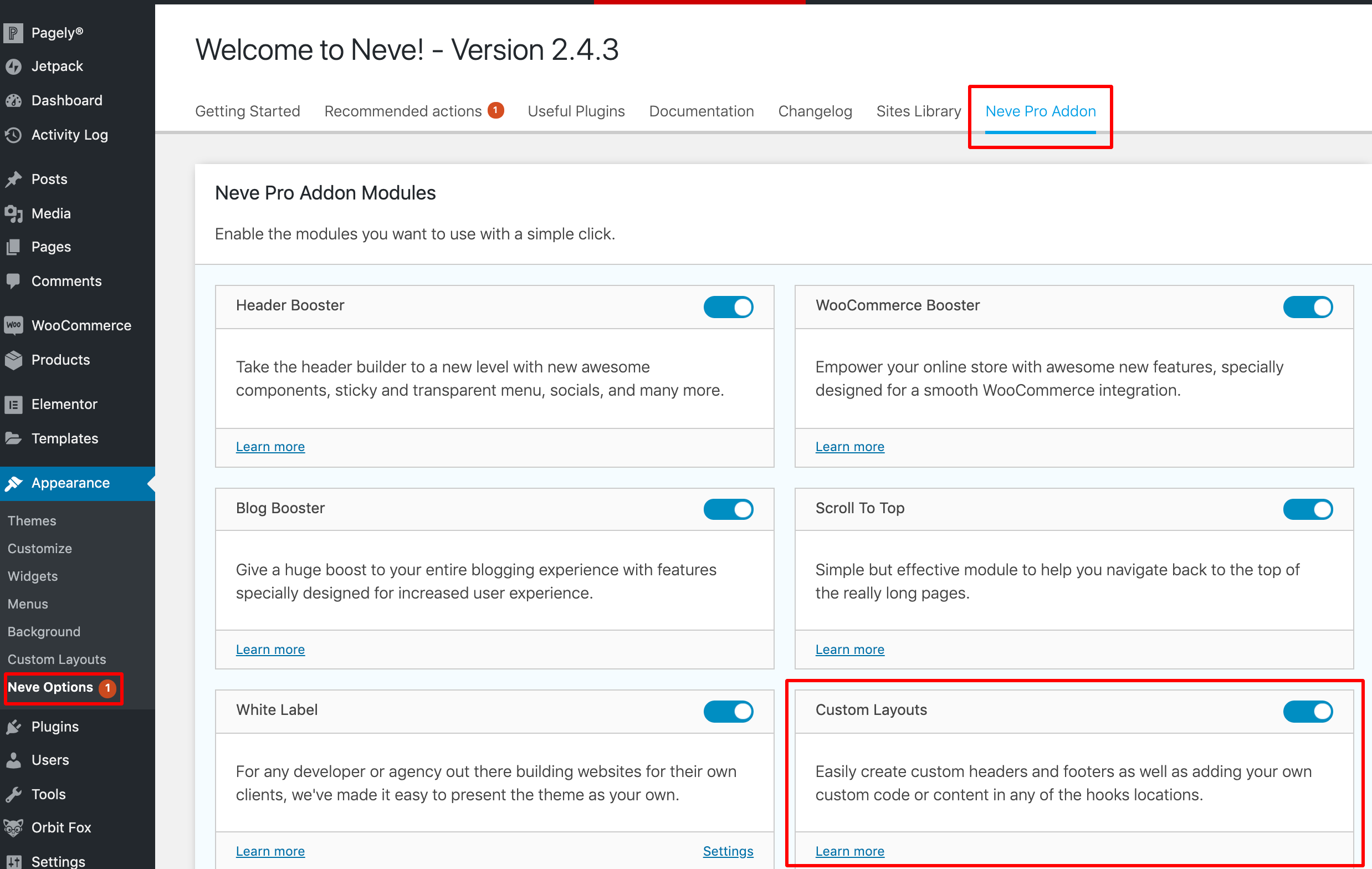 Custom Layouts Module Documentation - ThemeIsle Docs