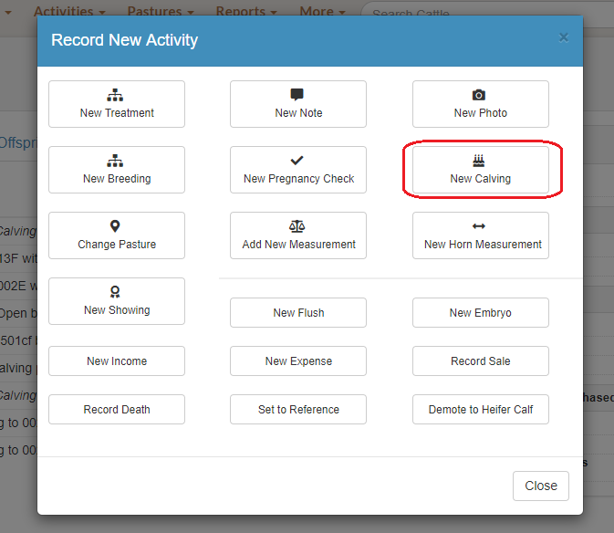 Calving a Cow - CattleMax Help