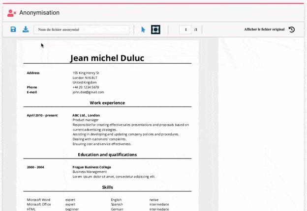 Anonymiser un CV - Job explorer - ATS/CRM - Documentation