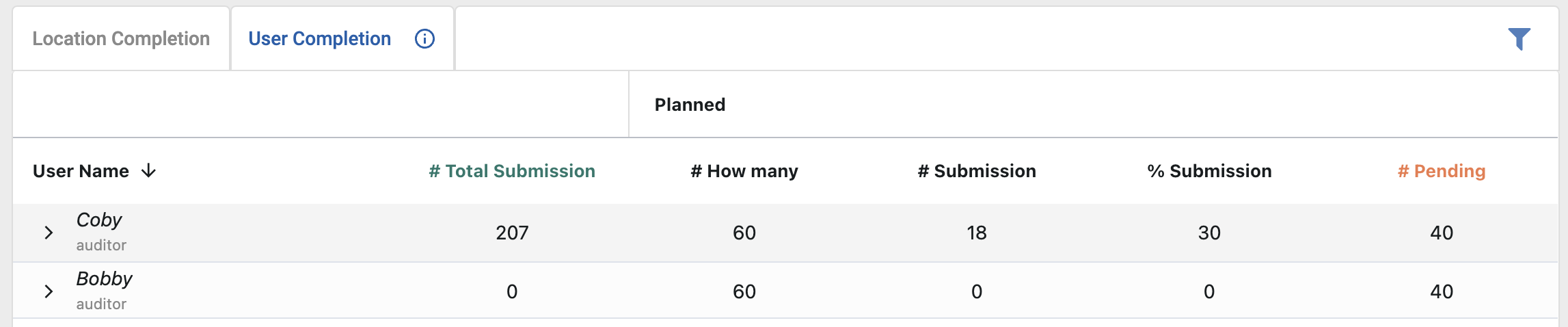 Navigating the Completion Dashboard - Audit App