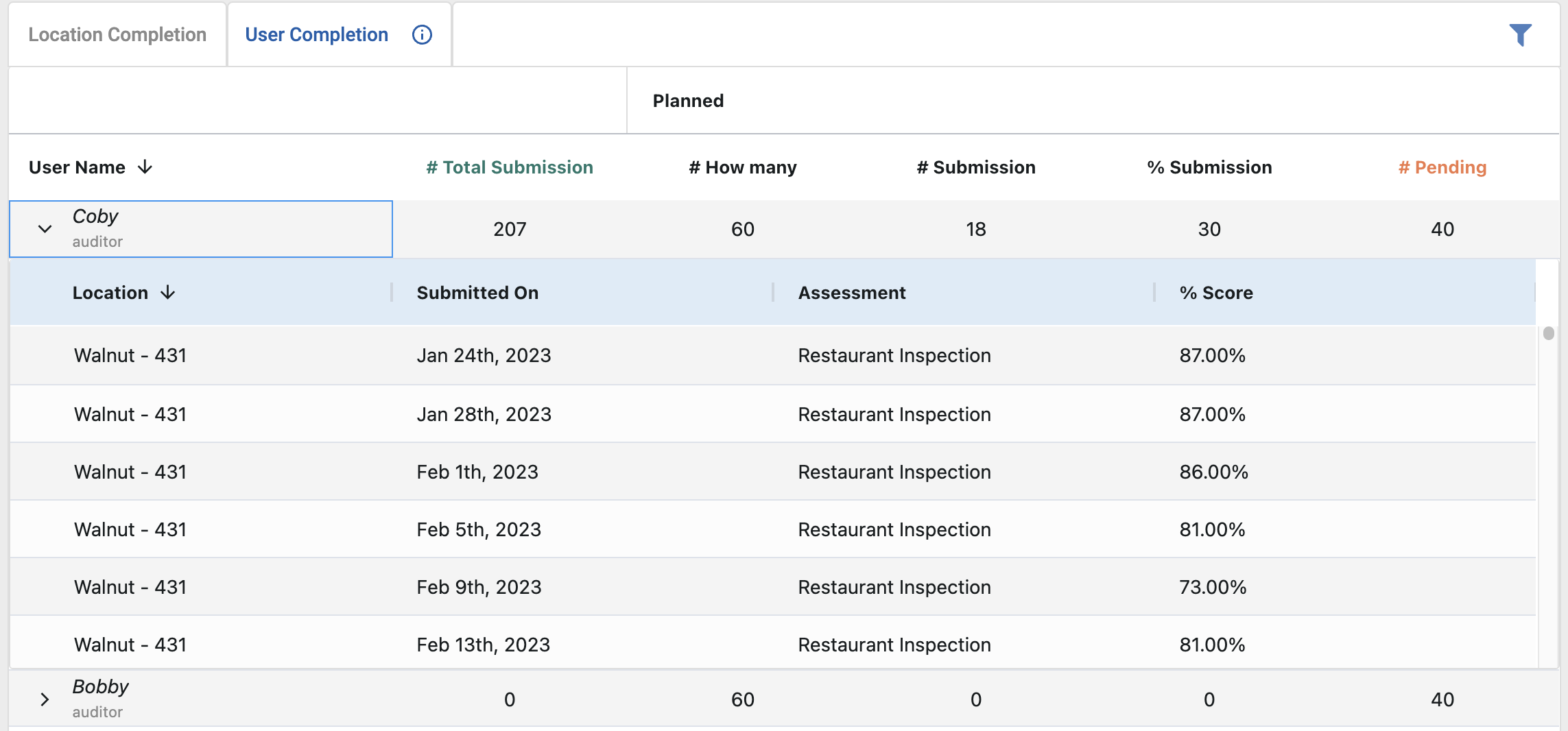 Navigating the Completion Dashboard - Audit App