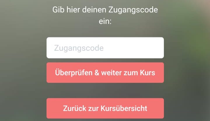 Kurseinladungen mit individuellem Zugangscode - blink.it - Helpdesk
