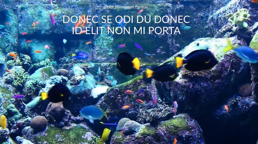 New settings, elements and element styles [PlusPack] - OptimizePress 2.0 Knowledgebase