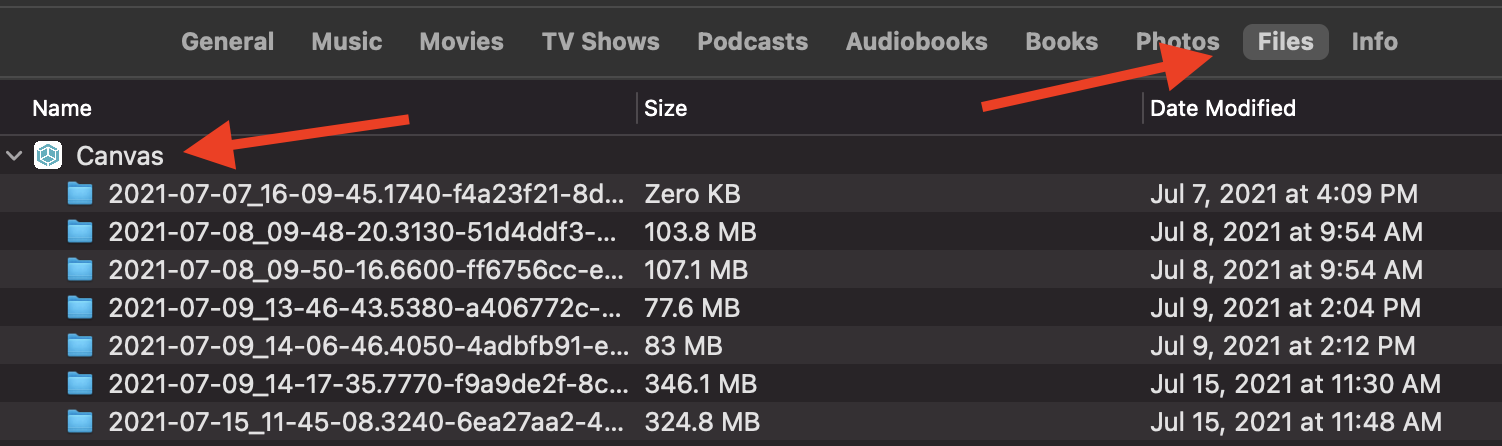 How can I use my Canvas scan? - Canvas FAQ