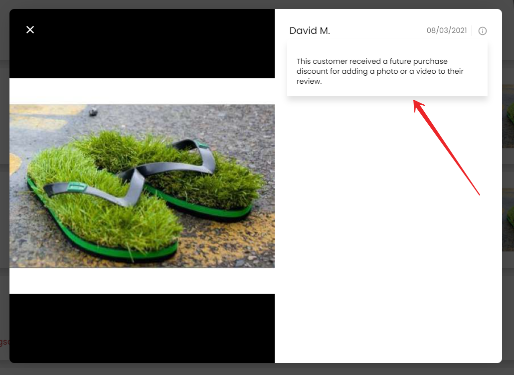 Review Transparency - Loox Knowledge Base