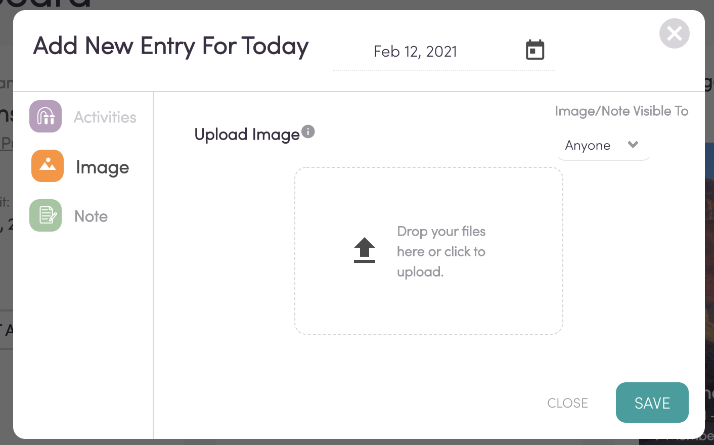 Make a Step or Wellness Entry (Browser) - Walker Tracker Stride Support