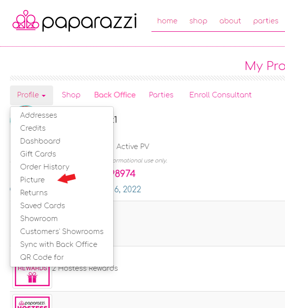 MY PROFILE PHOTO - Paparazzi Accessories Knowledge Base