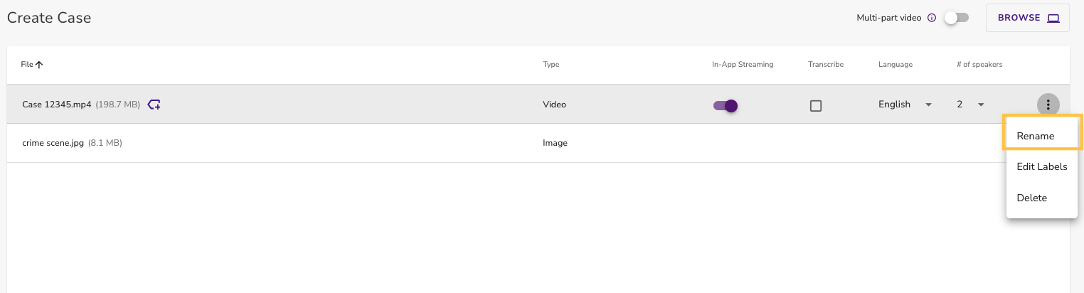 Pro: Renaming files - Guardify