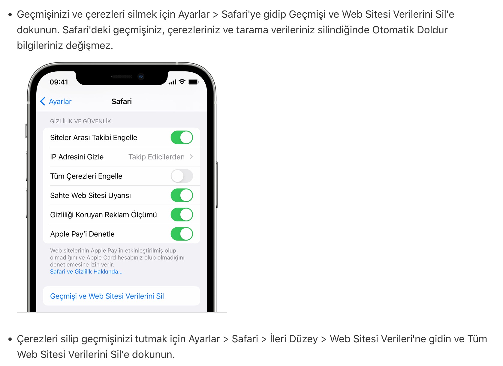 Site hatası çerez temizleme ile nasıl çözülür? - KORENDY
