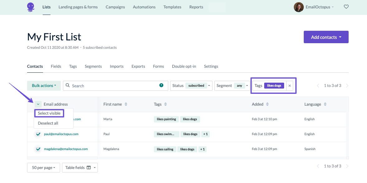 How to use bulk actions in a list - EmailOctopus knowledge base