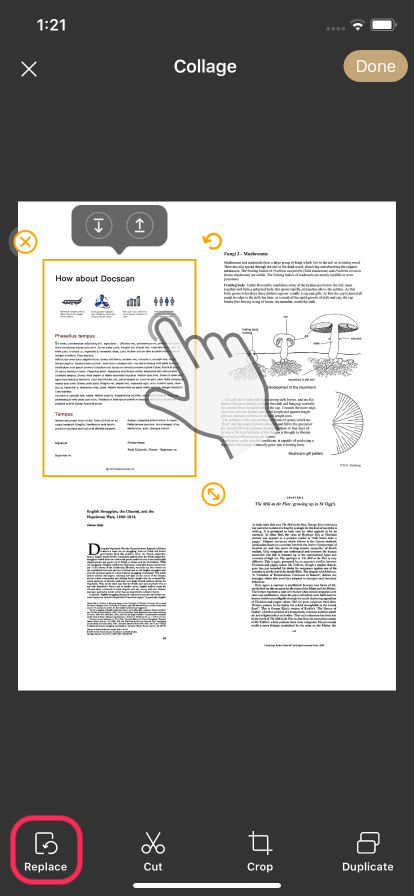 How to replace the photo with another image of a collage? - Doc Scan Help