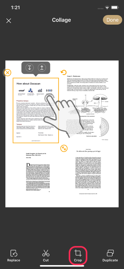 How to crop the photo of a collage? - Doc Scan Help