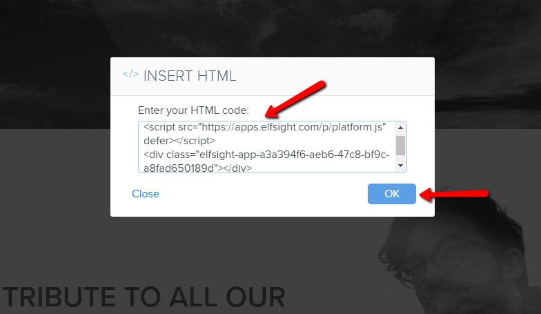 How to add Elfsight widget to Webnode website - Elfsight Help Center