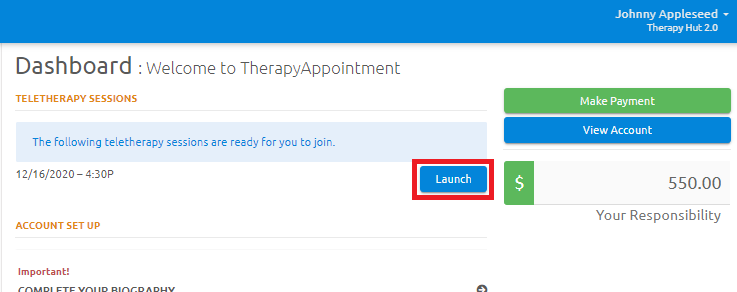 Using integrated Telehealth in TherapyAppointment - TherapyAppointment ...