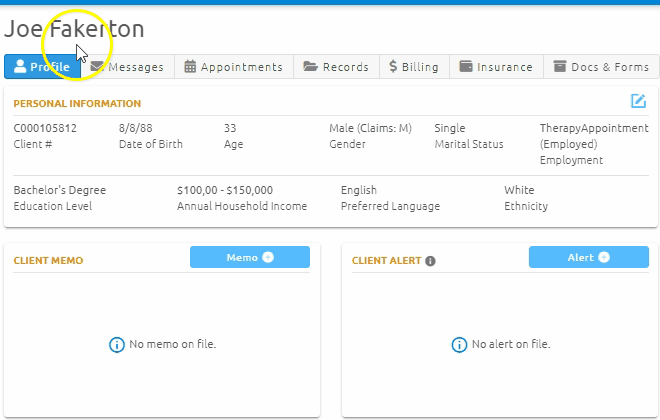 Customizable Client Demographics and Reports - TherapyAppointment ...