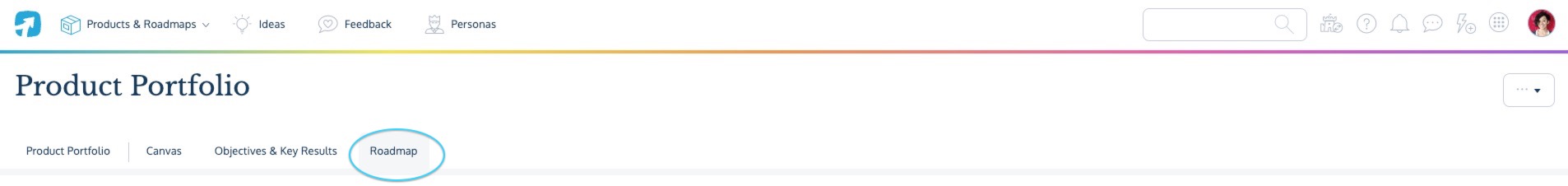 Portfolio Roadmap - ProdPad Help
