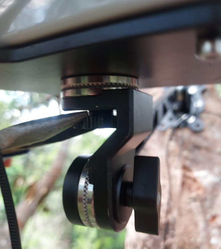 Assembly and Tree Installation - Rainforest Connection Support