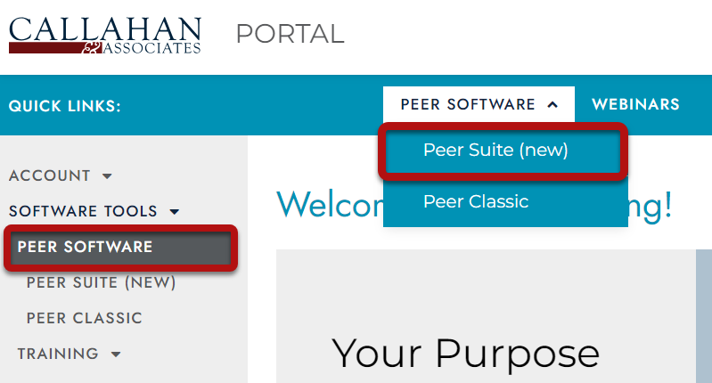 WCMS Student Guide: Accessing and Using Callahan’s Peer Suite for Your ...