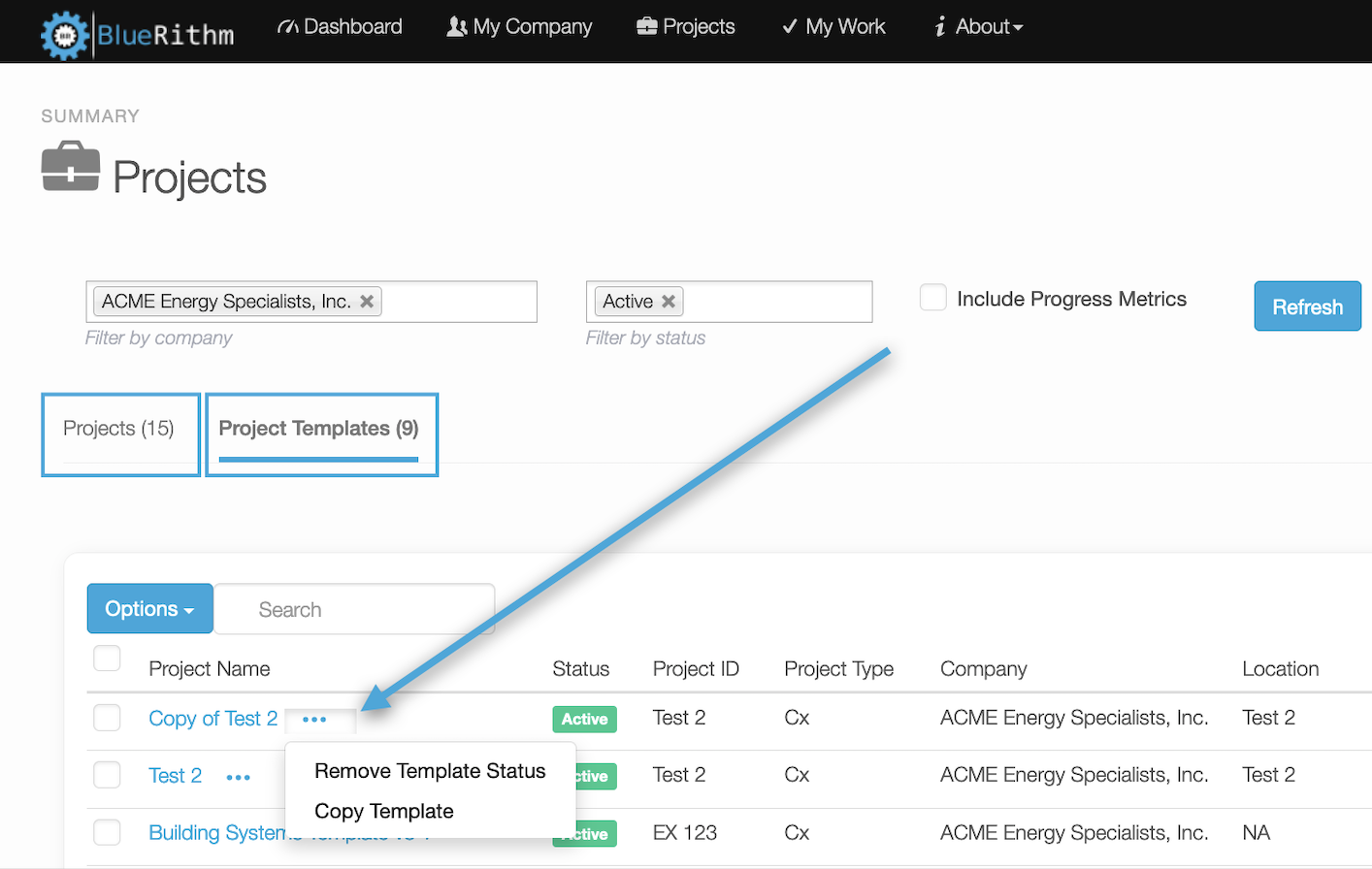 Add a Project - BlueRithm Knowledge Base