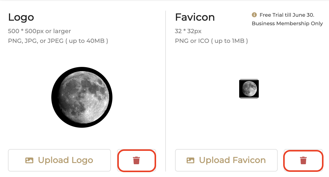 Formatting your Company Logo & Favicon - VidFlow Help Center