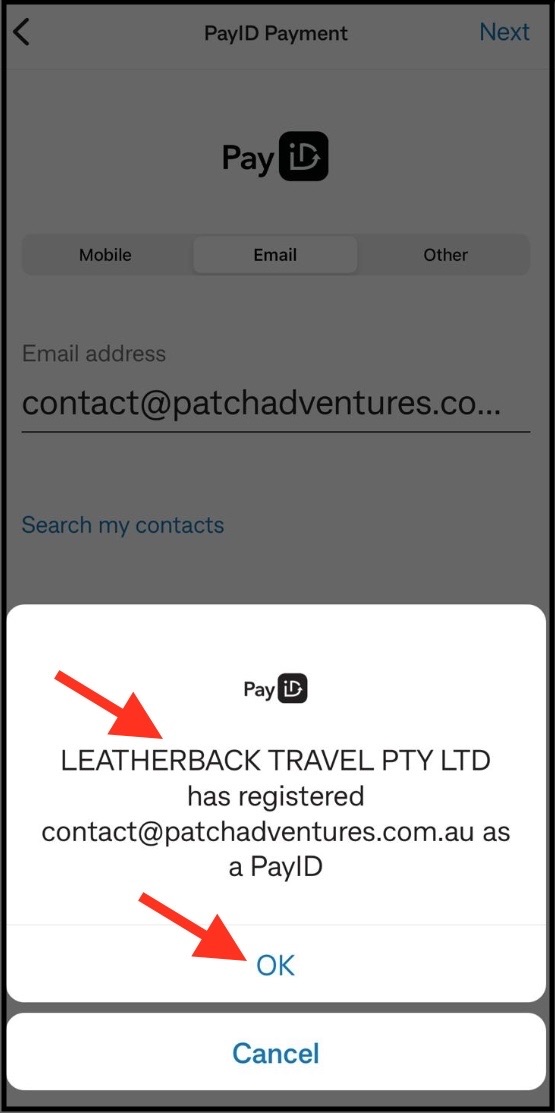 Introducing PayID: Easy, Fast, and Secure Payments with Magnificent Rail - Patch Adventures ...