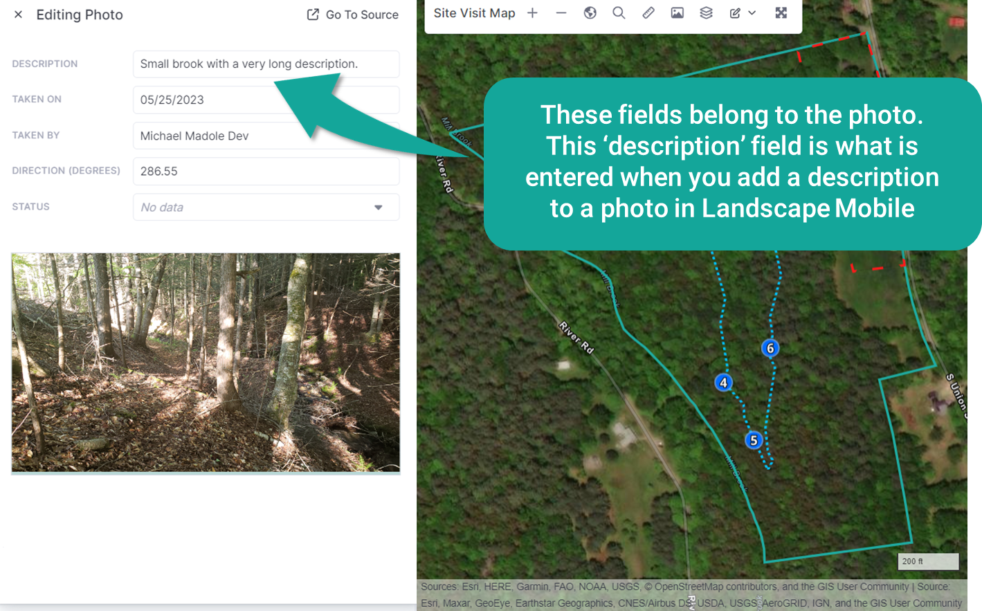 How photos are ordered in a report - Landscape Knowledge Base