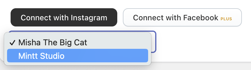 I subscribed to the Pro or Plus plans but can't see my likes and profile photo - Mintt Studio ...